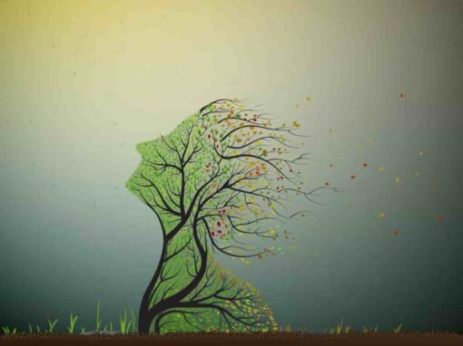 10 Best Things In Life That We Take For Granted!